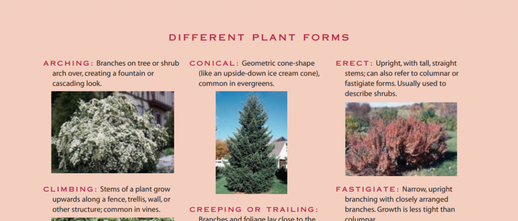 Deciduous Trees & Shrubs – Wisconsin Horticulture