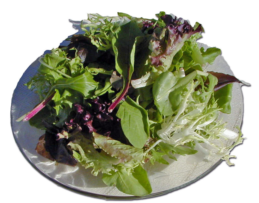 Grow Your Own Salad Greens – Wisconsin Horticulture
