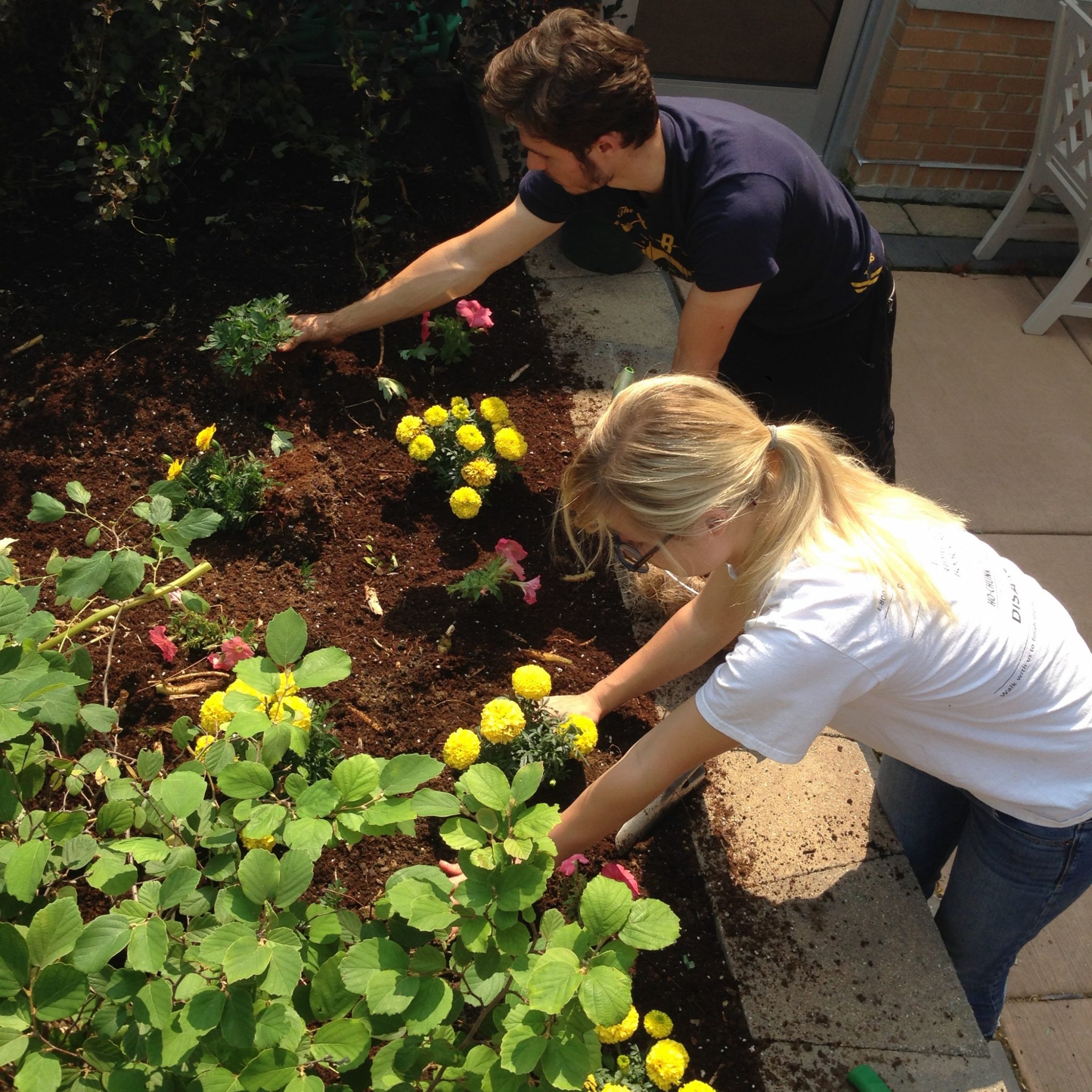 Growing and Caring for Plants in Wisconsin: Foundations in Gardening ...