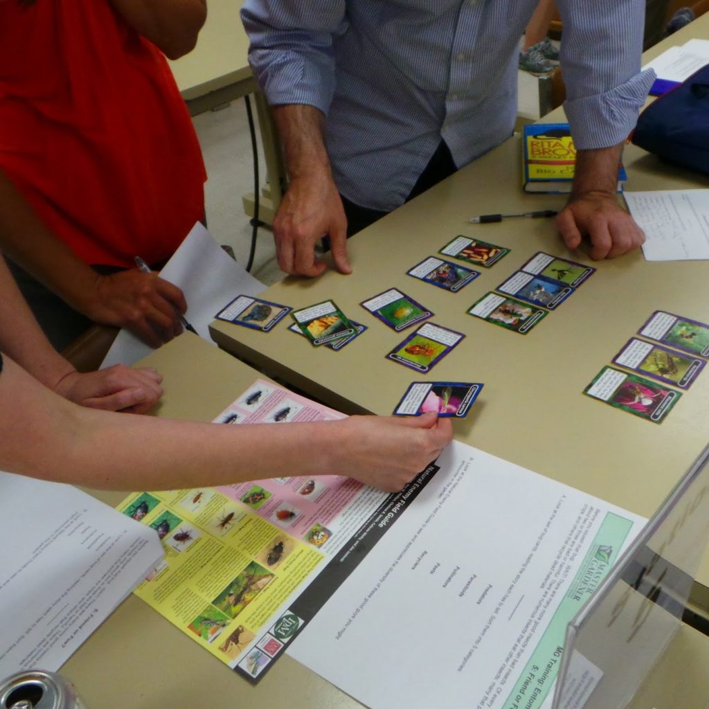 Growing and Caring for Plants in Wisconsin: Foundations in Gardening ...