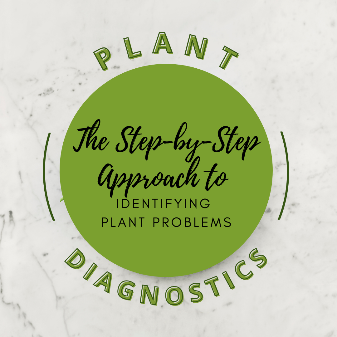 Plant Diagnostics: The Step-by-Step Approach to Identifying Plant ...