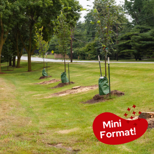 Free Online Gardening Programs – Wisconsin Horticulture