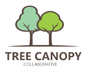 5 Steps to Plant a Tree – Wisconsin Horticulture