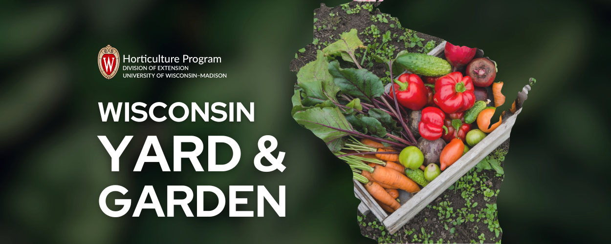Assessing 2024 vegetable gardens – Wisconsin Horticulture