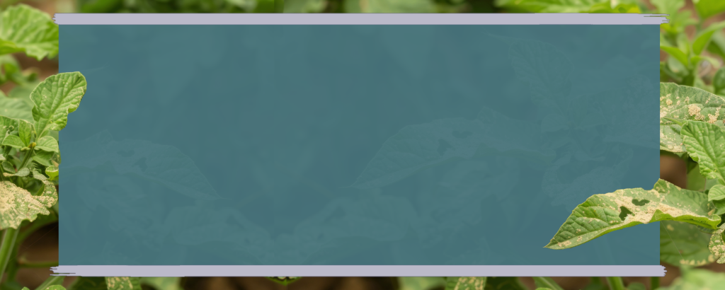 Plant Diagnostics: The Step-by-Step Approach to Identifying Plant ...