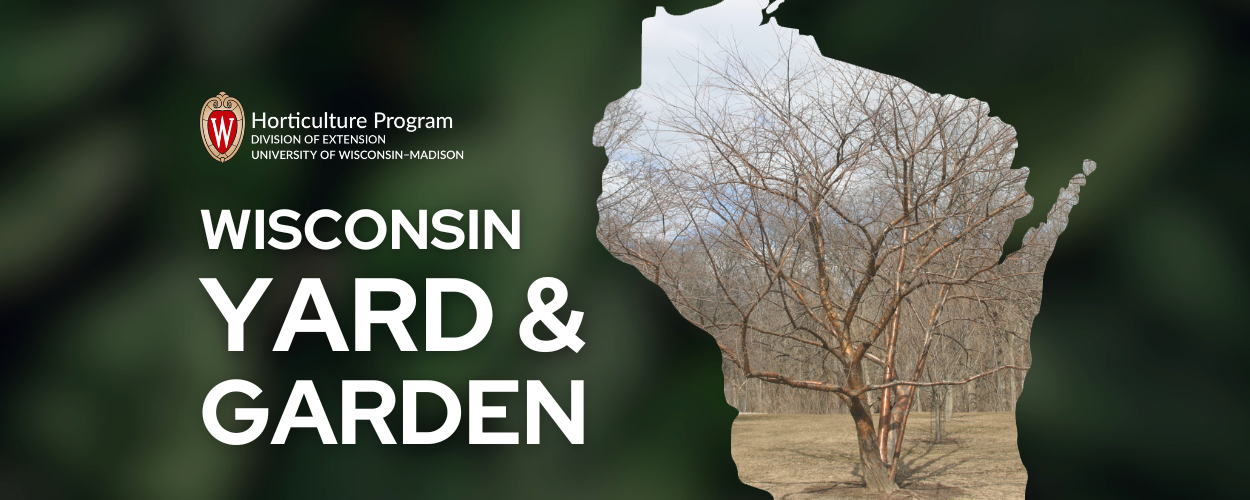 Winter Damage Concerns for Trees – Wisconsin Horticulture