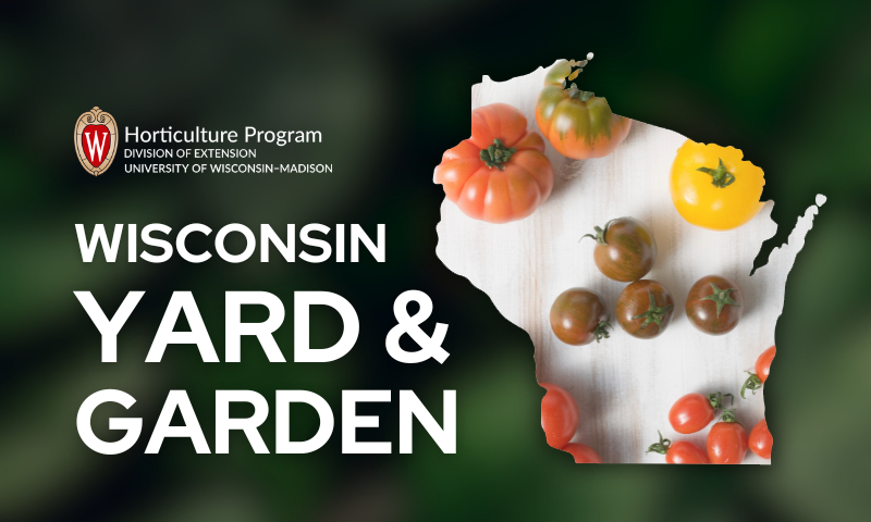 Vegetable Planting Times Wisconsin Learn How To Garden In Wisconsin