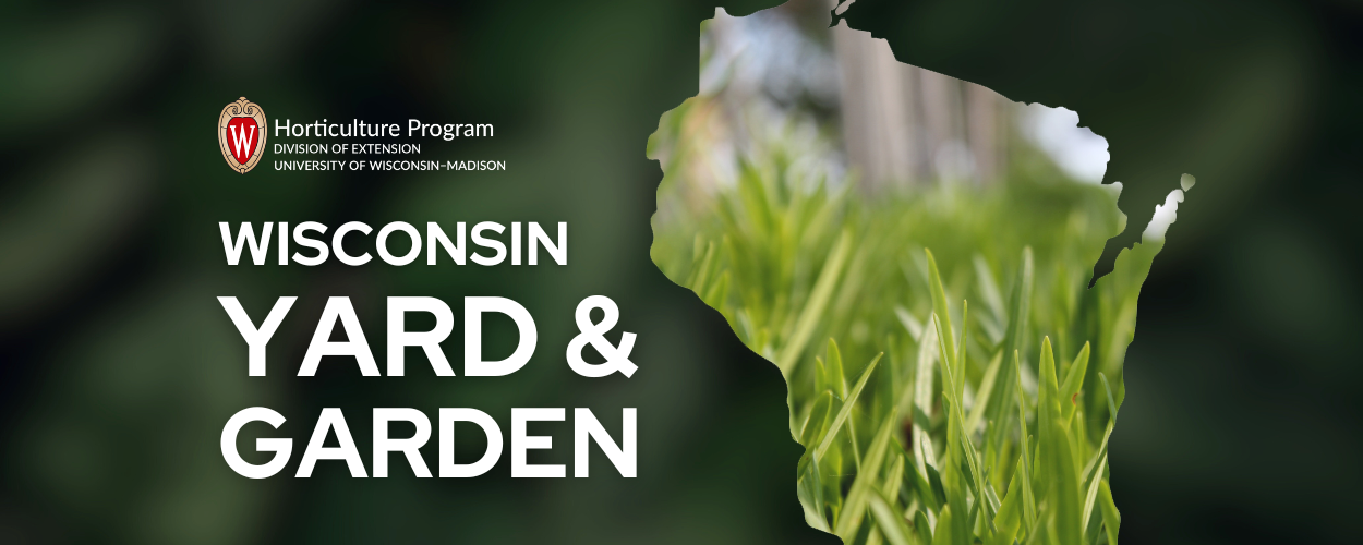 Plan for Healthy Lawns in 2025 – Wisconsin Horticulture