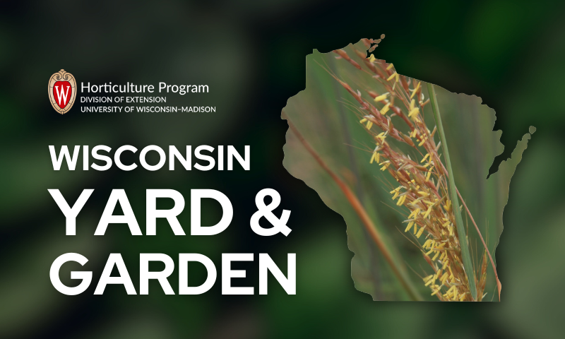 Gardening with Native Ornamental Grasses – Wisconsin Horticulture