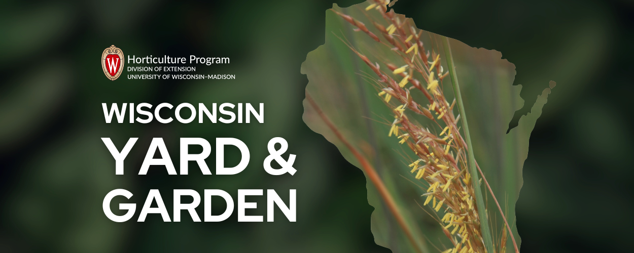 Gardening with Native Ornamental Grasses – Wisconsin Horticulture