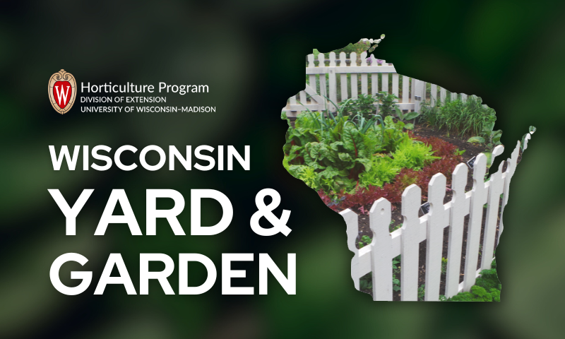 Do the Math in Yards & Gardens – Wisconsin Horticulture