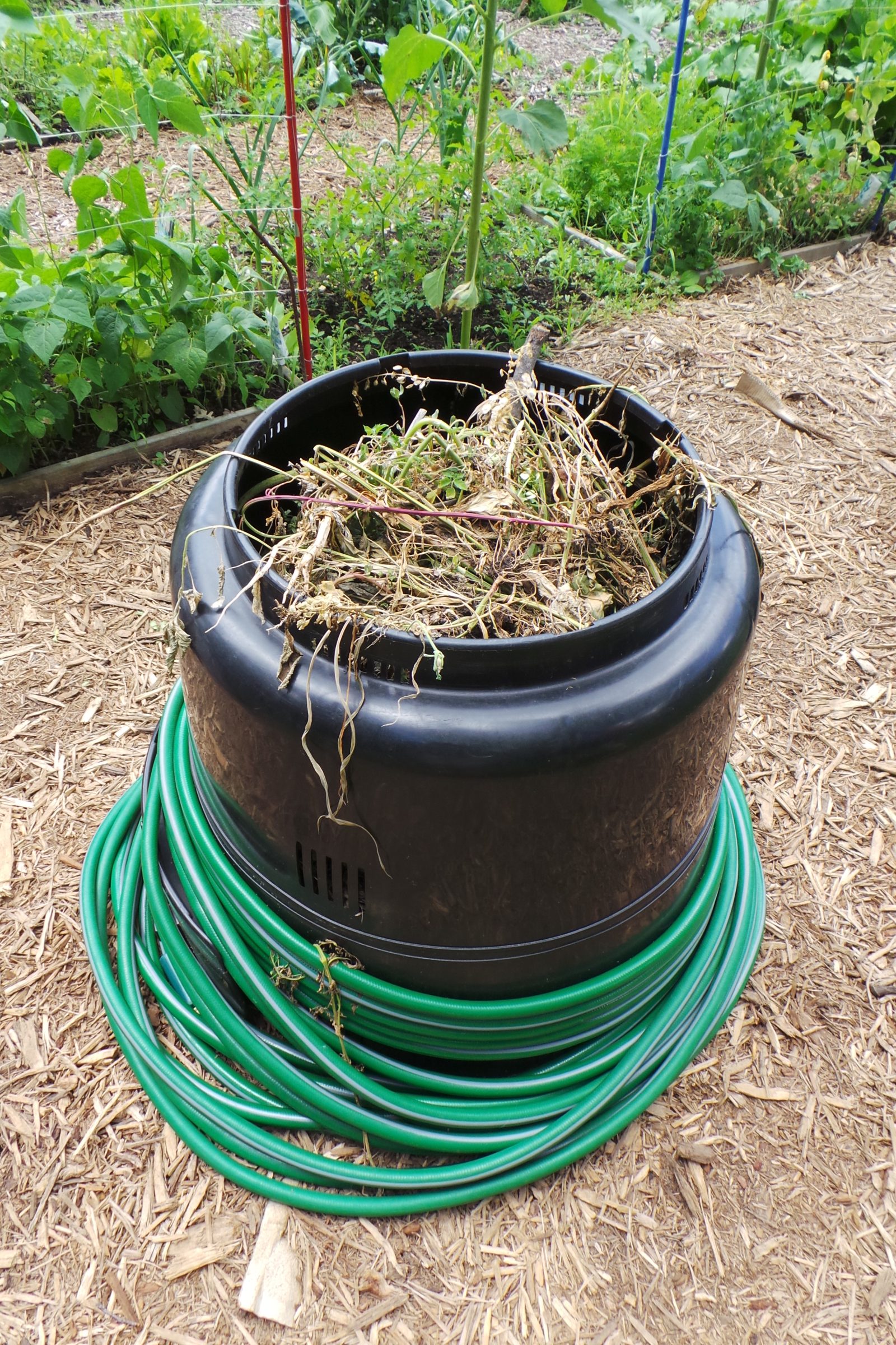Can Composter: Do-It-Yourself Compost Bin Instructions – Wisconsin ...