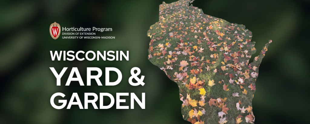 Timing Questions for Fall Lawn Care – Wisconsin Horticulture